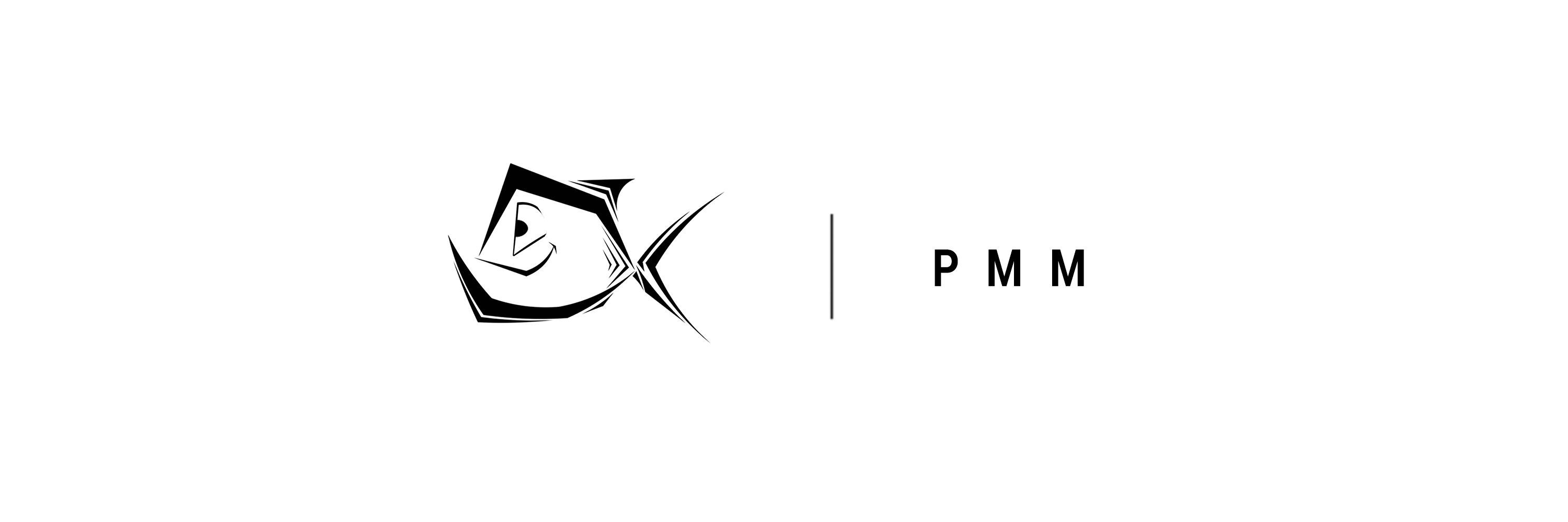 PMM // NEXT LEVEL AIMING